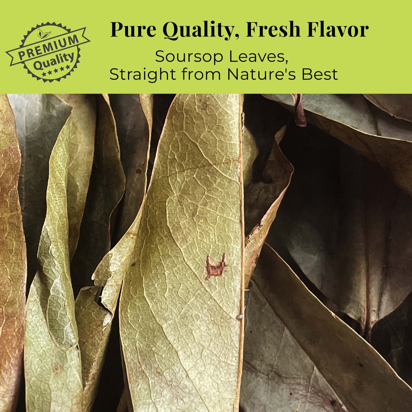 Premium Whole dried Soursop Graviola Leaves Tea 2.6 oz – Akshit
