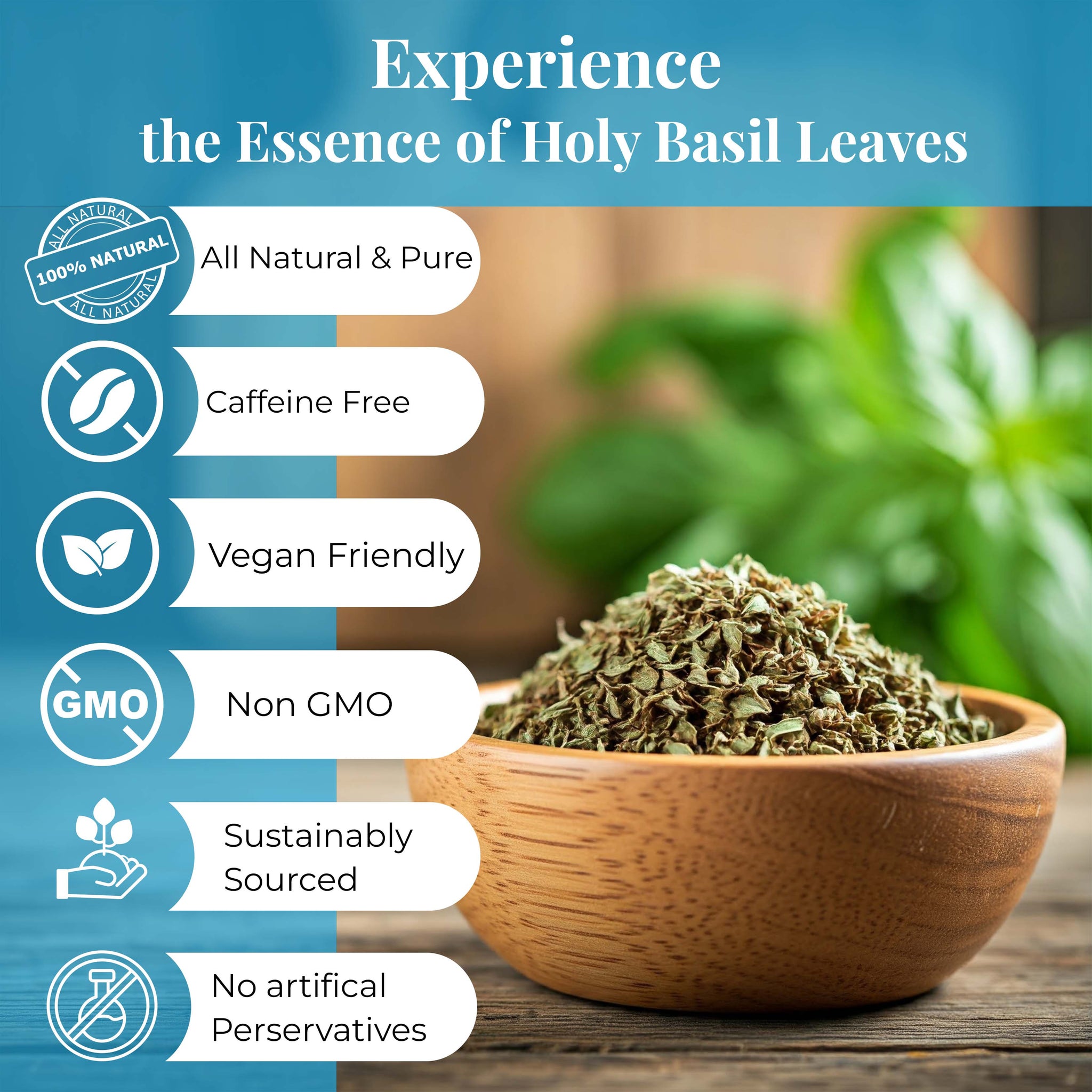 Holy Basil Tea | Benefits Uses and Side Effects – Akshit
