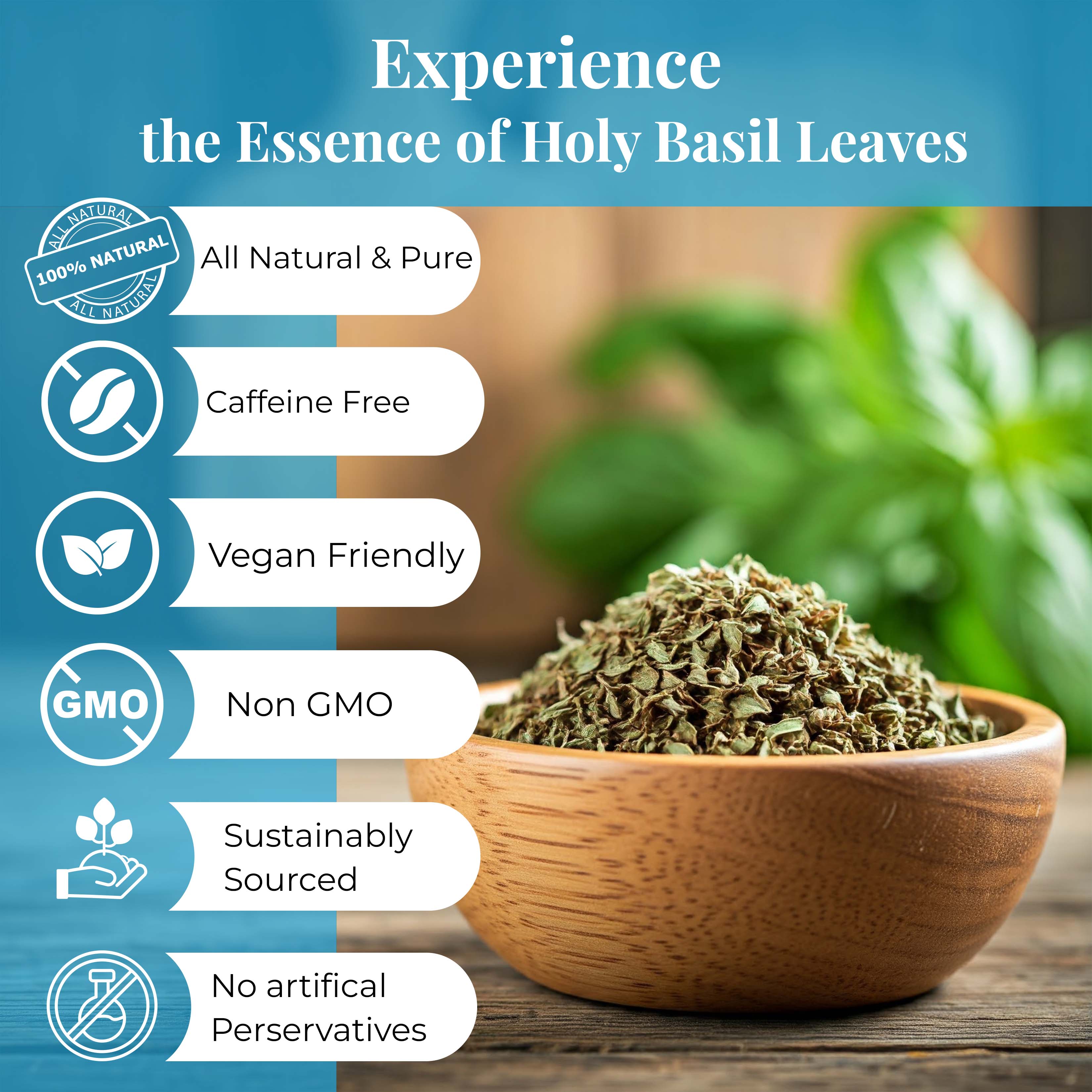 Holy Basil Tea | Benefits Uses and Side Effects – Akshit
